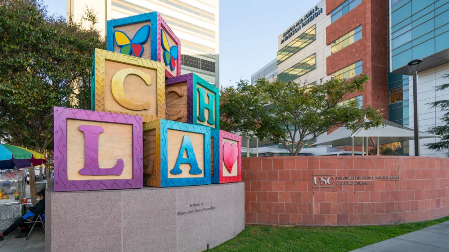 “Trans Youth Deserve Care”: Hundreds Rally Against CHLA Decision to ...